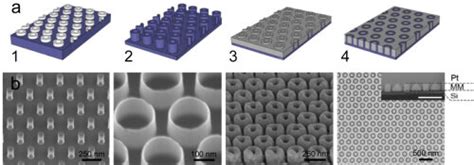 Fabrication Process Of The Coaxial Metamaterial A Sketch And B Sem Download Scientific