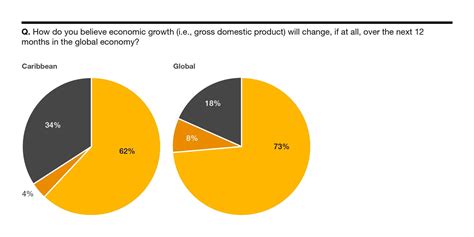 CEO Survey Caribbean Report