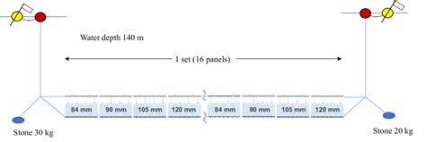 Arrangement Of The Experimental Tie Down Gillnets For The Mesh Size