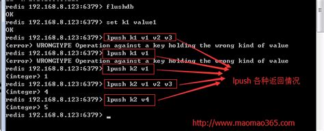 java实现redis批量lpush redis lpush list命令 魏文华的博客 csdn博客