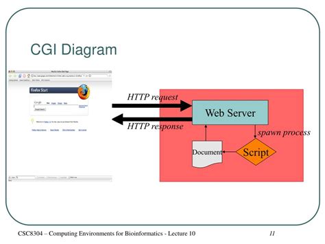 Ppt Html And Cgi Scripting Powerpoint Presentation Free Download
