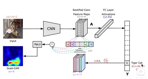 cam，pradcam，layer cam（可解释性分析方法） layercam csdn博客