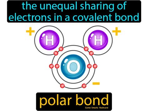 Polar Bond Definition Easy Science