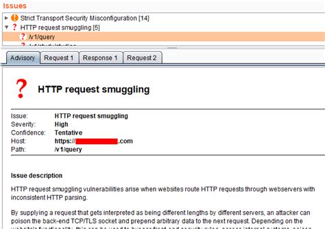 leveraging burp suite extension for finding request smuggling