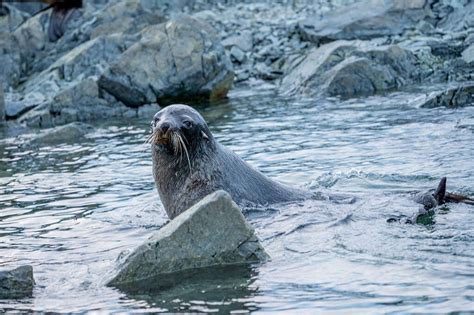 Antarctica Travel Blog Our Journey To The 7th Continent