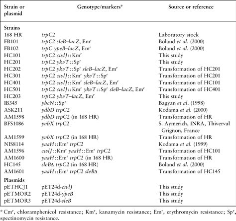 Table 1 From Analysis Of Spore Cortex Lytic Enzymes And Related Proteins In Bacillus Subtilis