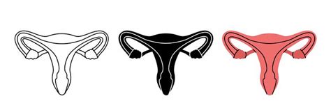 Intercourse Vector Images Over