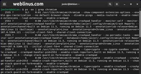 matar procesos en gnu linux weblinus