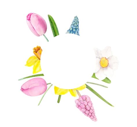 Premium Photo Watercolor Illustration Spring Frame With Muscari Daffodils Tulips Leaves