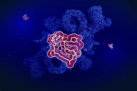 Rapamycin Benefits Side Effects Research And Dosage