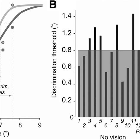Behavioral Effects Of Visual Information On Foot Movement Amplitude