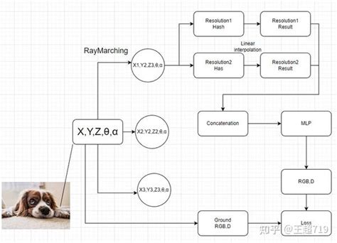 Instant NGP个人理解 知乎