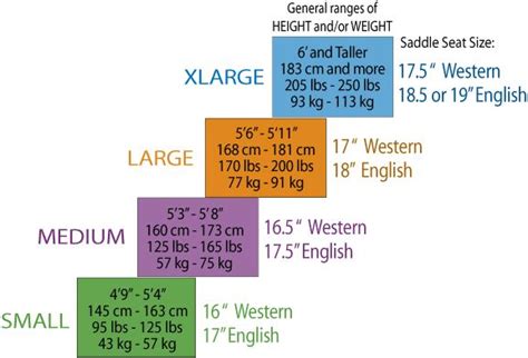 English Saddle Size Chart