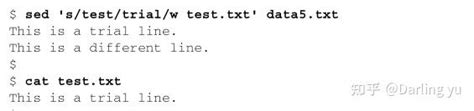 Linux命令行与Shell脚本编程大全19 sed基础 知乎