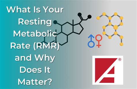 What Is Your Resting Metabolic Rate Rmr