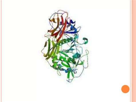 Enzyme Keratinase Pptx