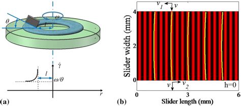 A Shear Rate Distributions At Different Positions Of The Slider B The Download Scientific