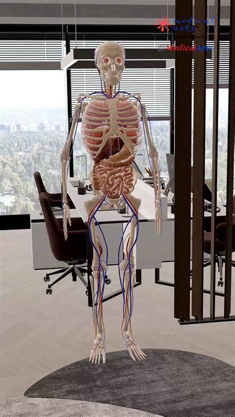 Diverticulitis Diverticulosis Diverticular Disease Refers To Two Conditions Diverticulosis