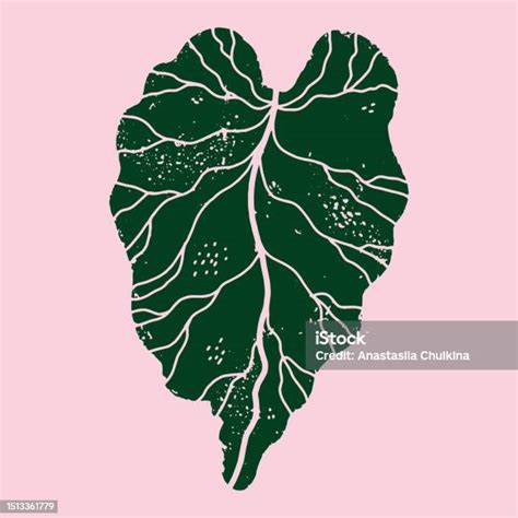 리노컷 스타일의 트로피컬 그린 리프 컷아웃과 그런지 질감 마모 된 표면 이국적인 숲 하와이안 디자인 디자인 요소 0명에 대한 스톡 벡터 아트 및 기타 이미지 Istock