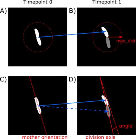 Strack Requires Two User Defined Parameters The First Parameter Download Scientific Diagram