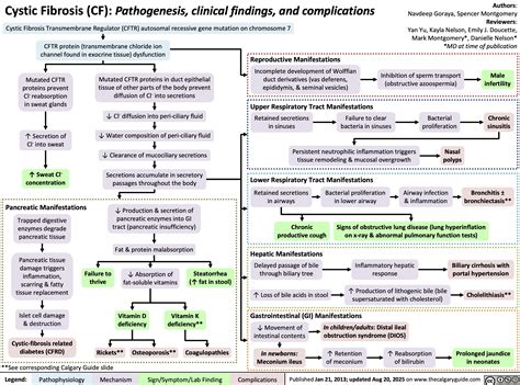 Cystic Fibrosis Pathogenesis Clinical Findings And Complications Calgary Guide