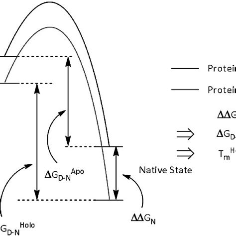 Characterization Of Protein Ligand Binding Using Itc Typical