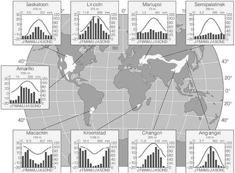 Temperate Grassland Climate Graph