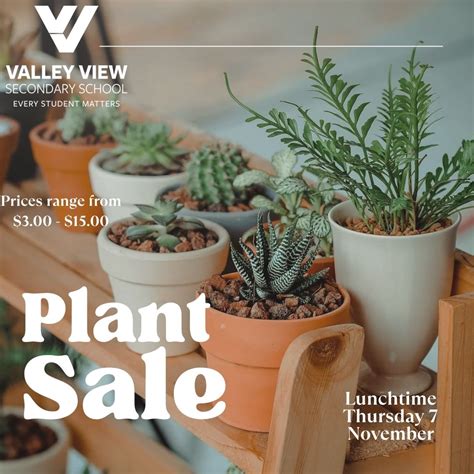 🌱 Support Our Vvss Garden Valley View Secondary School