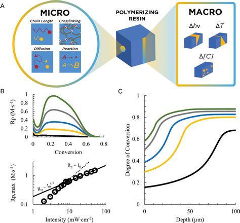Comprehensive Model Predicts Complex Dynamics In Free Radical Photopolymerization Data