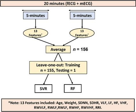 Of Data Analysis Following Extraction Of Maternal And Fetal Ecg 13