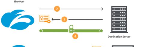why you need to inspect tls traffic gadget access
