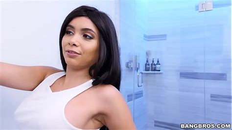 Brown Bunnies Search