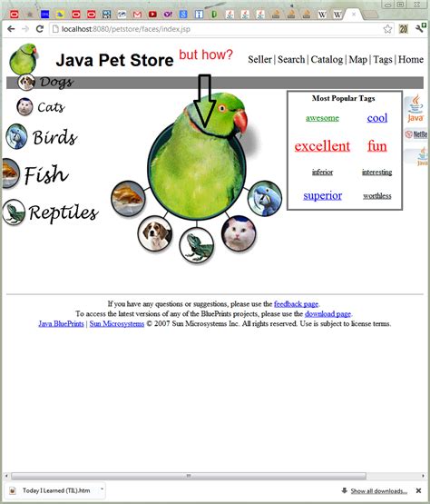 Why Does This Ant Error Not Prevent The Whole Systemjava Pet Store