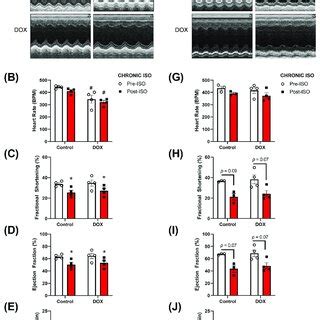 Echocardiography Revealed Sex Related Differences In DOX Exposed Download Scientific Diagram