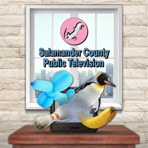 Salamander County Public Television 2022 Box Cover Art Mobygames