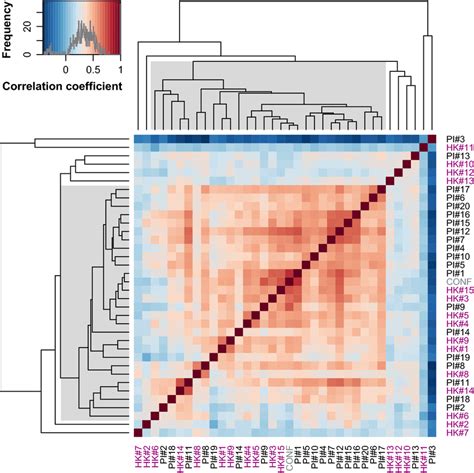 polychoric correlation matrix and hierarchical clustering dendrogram