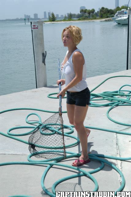 Pics And Movie Of Darci From Captain Stabbin Porn Pictures Xxx Photos Sex Images