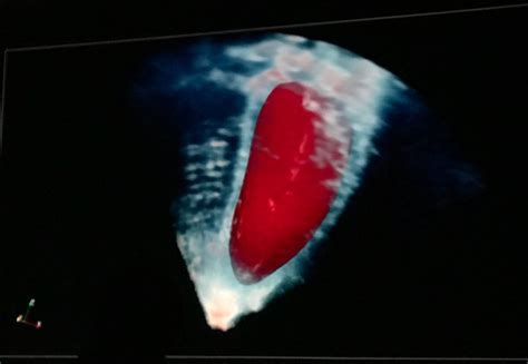 Getting Started With GPUs In Google Kubernetes Engine The New Stack