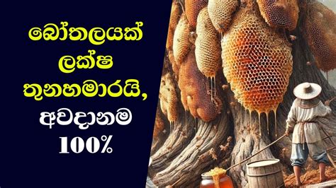 නේපාලයේ කැලෑවල මී වද කඩන විදිහ Youtube