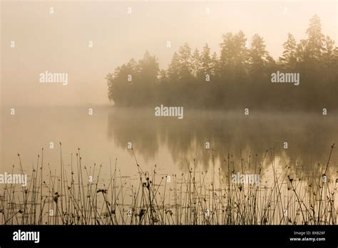 Misty lake in morning Stock Photo - Alamy