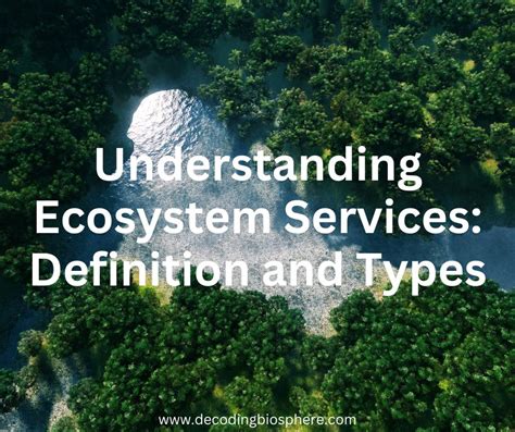 Understanding Ecosystem Services Definition And Types Decoding Biosphere