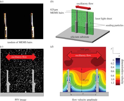 Set Up And Definition Of Variables Download Scientific Diagram