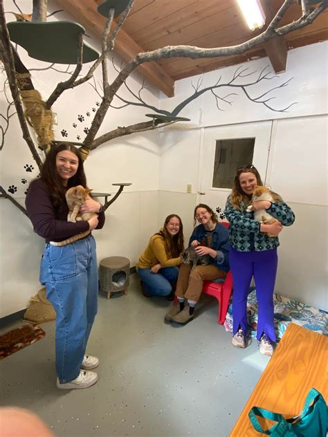 Spca Of Mariposa County Mariposa Ca