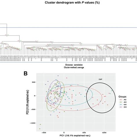 Analysis Of Methylation Data A Unsupervised Cluster Analysis Of Study