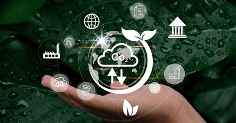 The Cabinet Of Ministers Approved The Procedure For Using The State