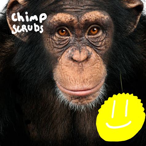 chimp scrubs test by roo