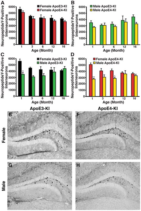 Age And Sex Dependent Effects On Numbers Of Neuropeptide Download