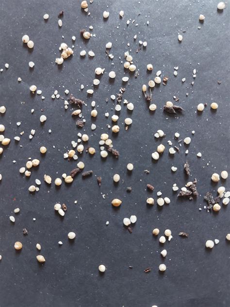 6 New Barn Object Detection Dataset By Aiml Ecochoice