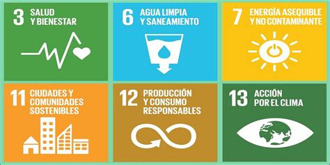 Impacto De Los Determinantes Ambientales En La Salud El Blog De Jorge
