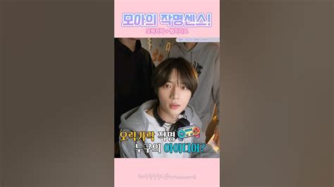 Txt멍멍즈모아의 작명센스오락가락범이디오 ️투바투 투모로우바이투게더 위버스라이브 Youtube
